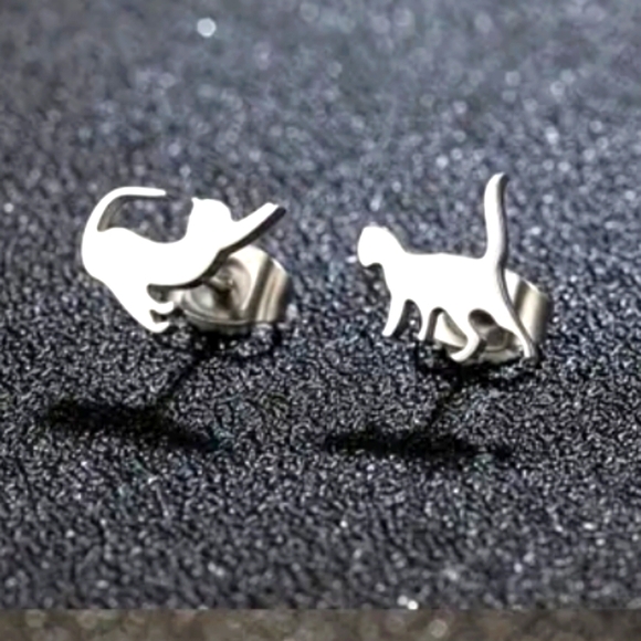Fashion Jewelry | Jewelry | Asymmetrical Cat Stainless Steel Stud ...